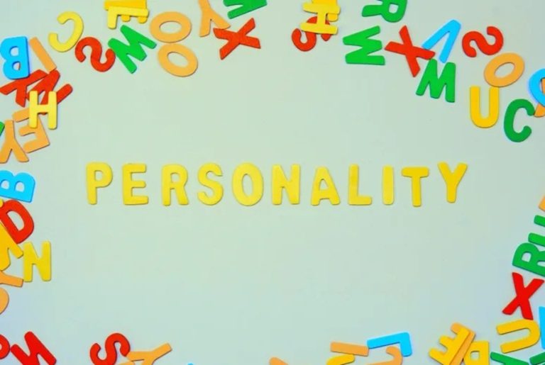 What Conclusions Can We Draw From Trait Theory: 5 Key Ones